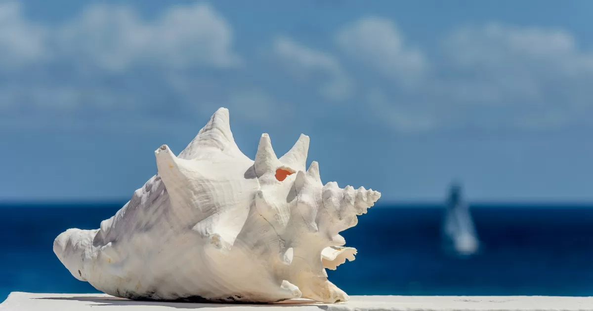 What are the best times to post on social media in 'America/Anguilla ...