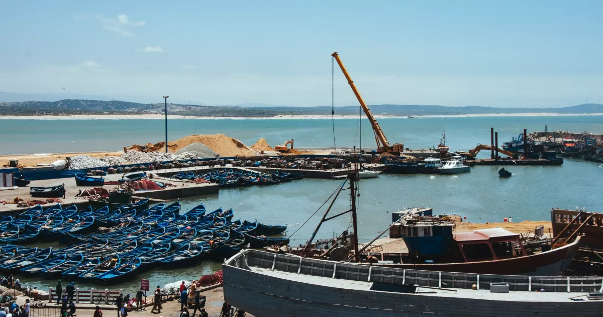 What is the optimal posting time for 'Pacific/Port_Moresby' timezone?